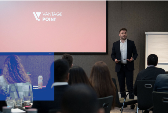 About | VantagePoint