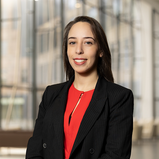 About | VantagePoint